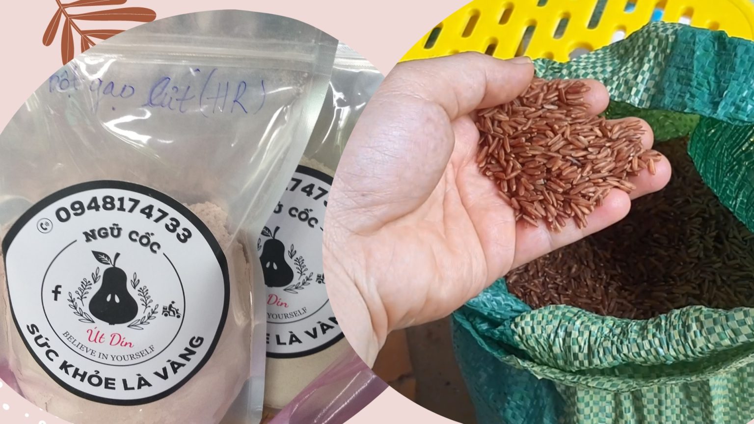 #1 Cách làm bột gạo lứt huyết rồng rang xay siêu mịn [video]